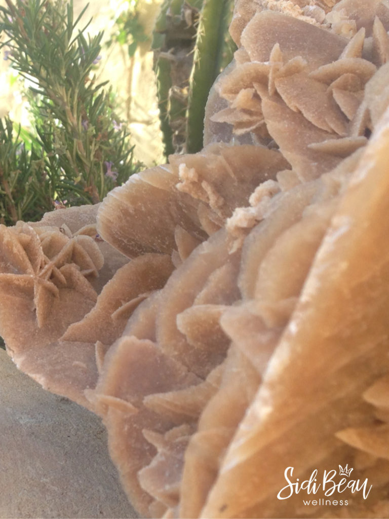 Sandrose – Verwendung und Wirkung - sidi-beau.de